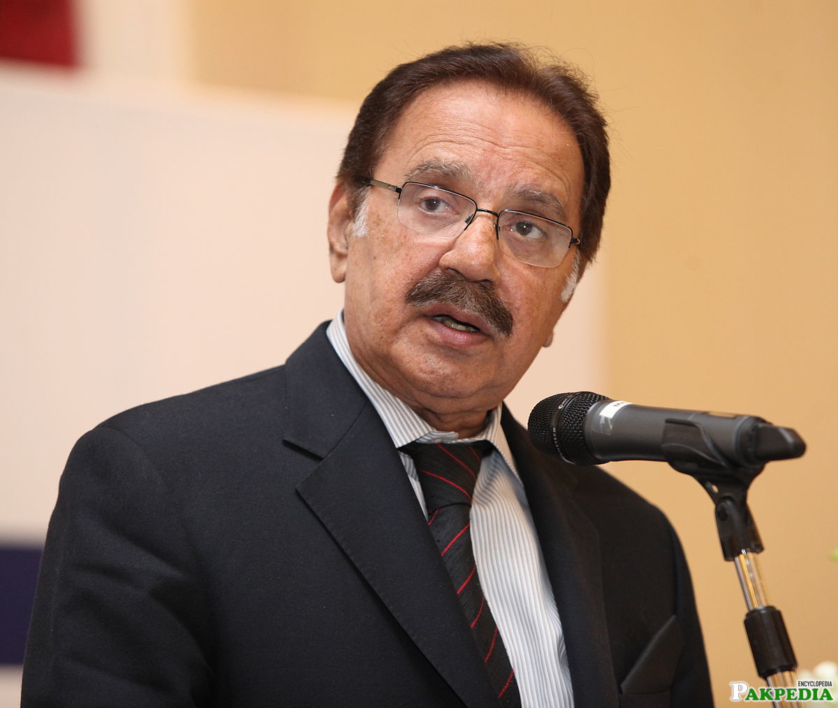 Ameen Faheem - Pakpedia | Pakistan's Biggest Online Encyclopedia
