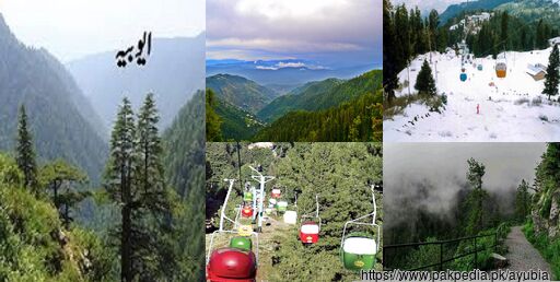 Ayubia - Pakpedia | Pakistan's Biggest Online Encyclopedia