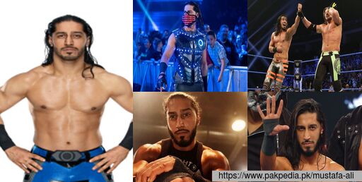 Mustafa Ali - Pakpedia | Pakistan's Biggest Online Encyclopedia