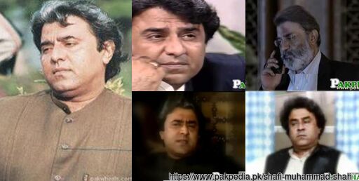 Shafi Muhammad Shah - Pakpedia | Pakistan's Biggest Online Encyclopedia